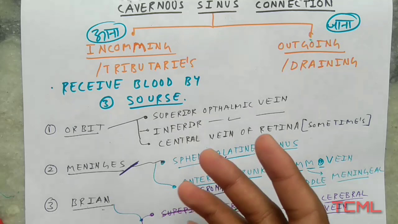 Cavernous Sinus | Part 3 | Communication | Incomming and Outgoing ...