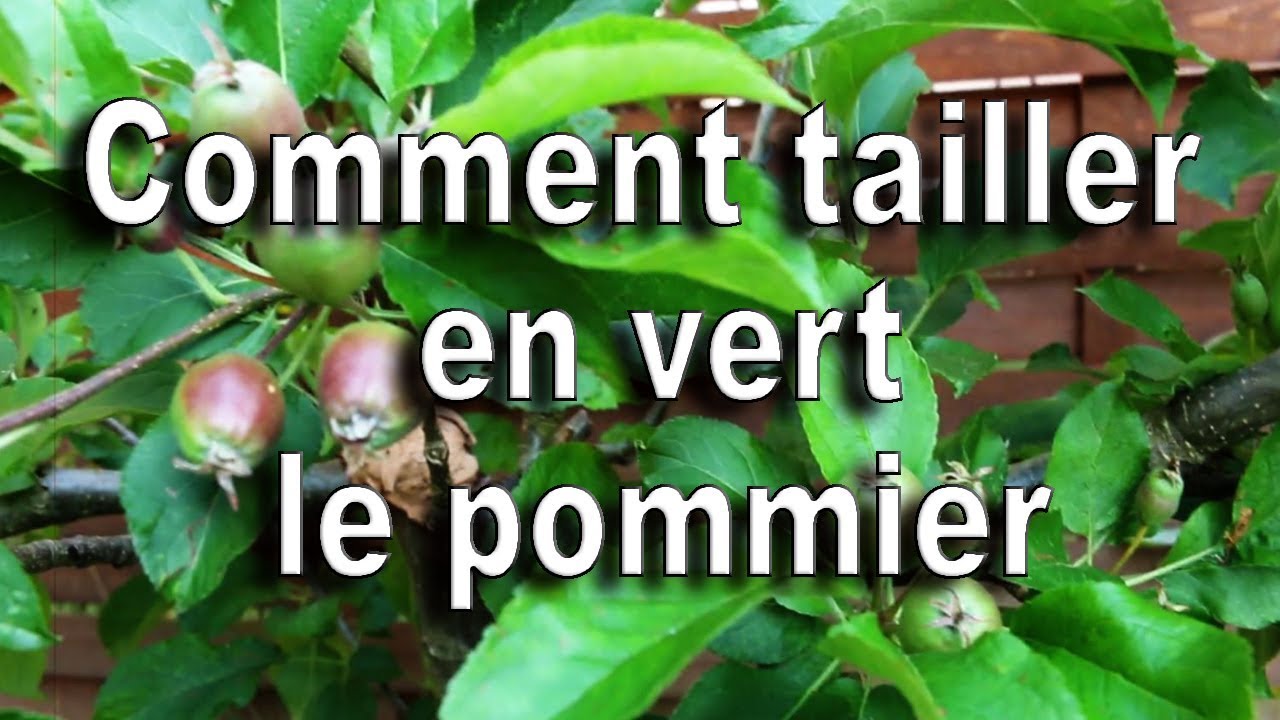 Taille en vert du pommier - YouTube