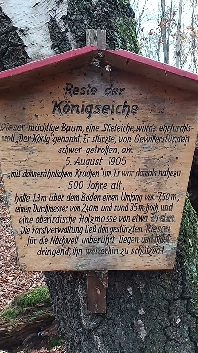 Das Jagdschloss Puzzle 2b - Die Königseichen - YouTube