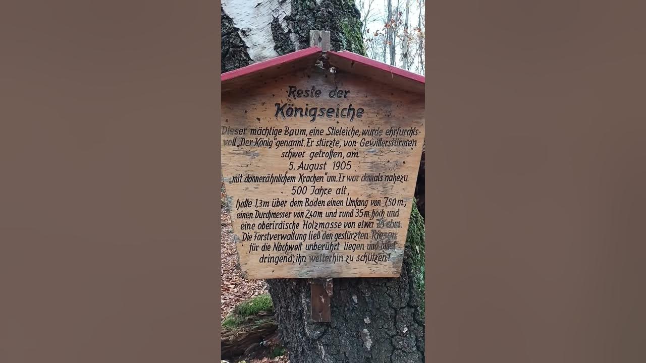 Das Jagdschloss Puzzle 2b - Die Königseichen - YouTube