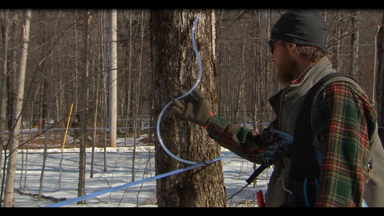 Modern Maple 5/16" Vacuum Tubing Systems - YouTube