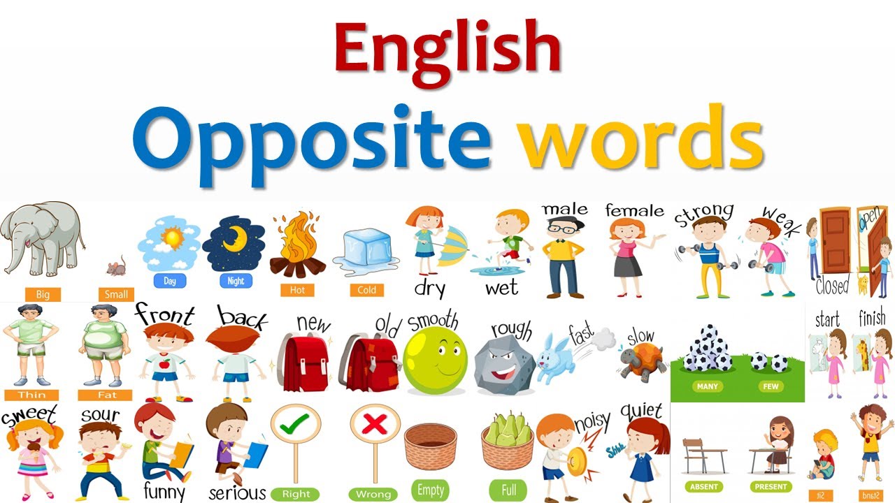 English opposite words | Exploring English opposite words - YouTube