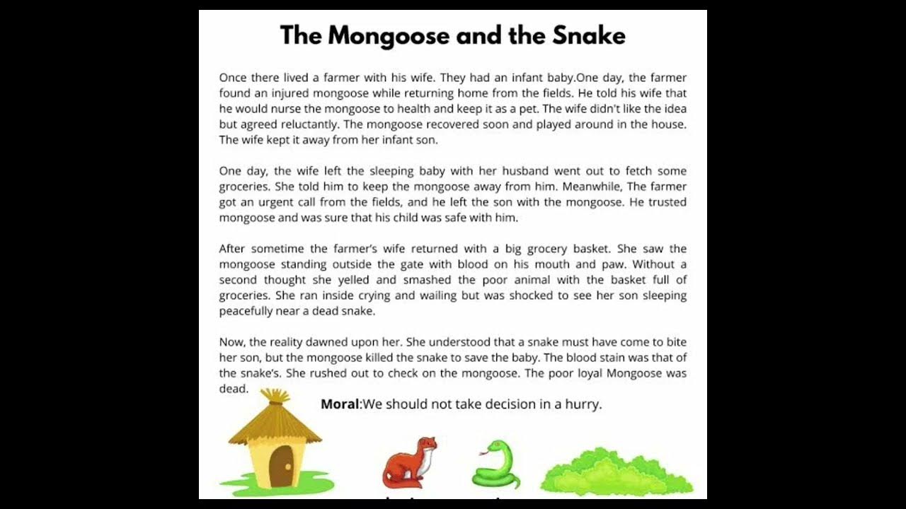 THE MONGOOSE AND THE SNAKE || MORAL STORY FOR KIDS - YouTube