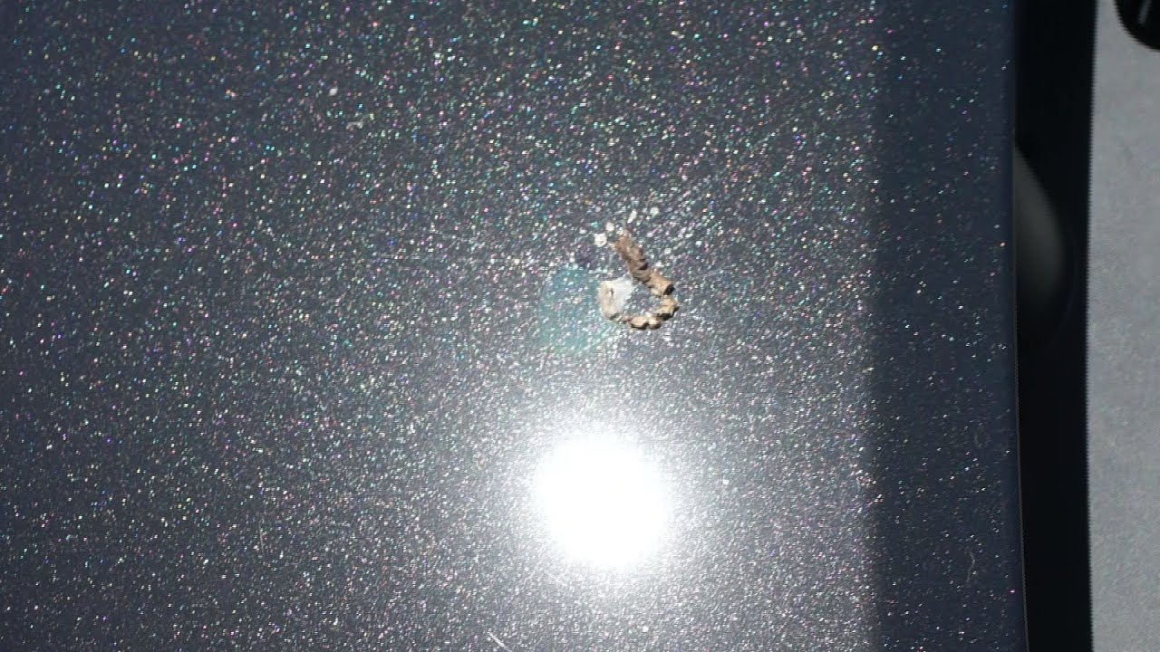 Bird poo!! Is my CERAMIC COATING ruined?!? - YouTube