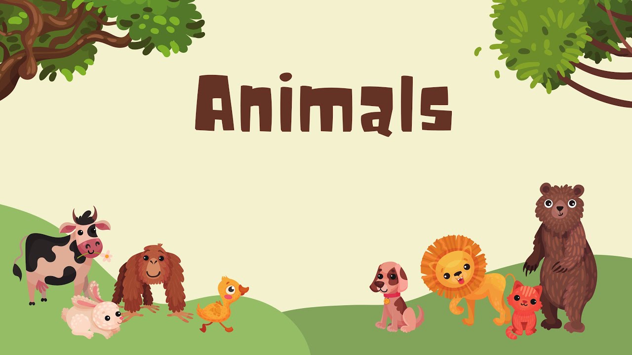 u8 3 video words lion bear giraffe elephant monkey - YouTube