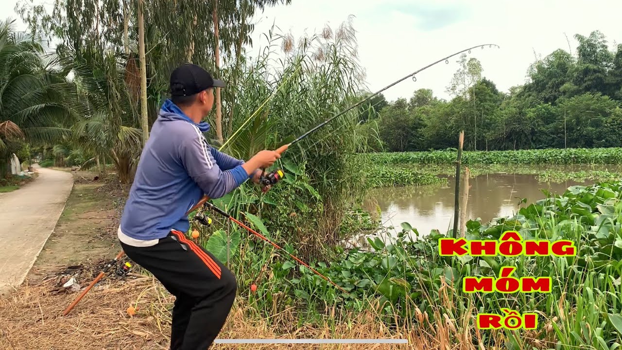 Câu Cá Tra Sông - Đi Bãi Nào Cá Cũng Ăn Câu Là Được | Fishing - Miền ...