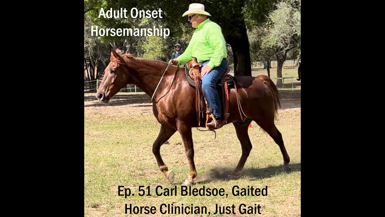 Gaited Horse Welfare and the Laws. Clip with Carl Bledsoe ...