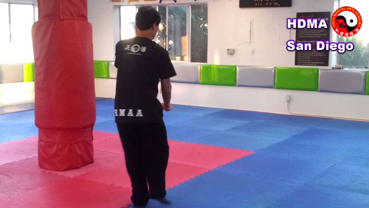 HDMA Chen Style Tai Chi 19 Step Form by Young Choi, San Diego - YouTube