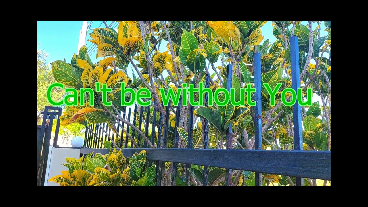 I CAN'T BE WITHOUT YOU OFFICIAL VIDEO CLIP - YouTube