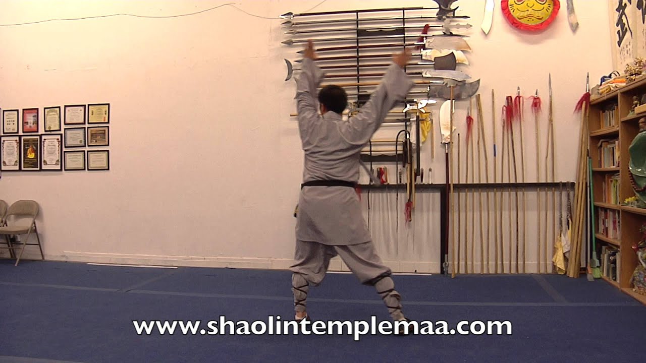 Wushu Movement #5 Training: By master Bruce Wen (Shi Yan Hui) - YouTube