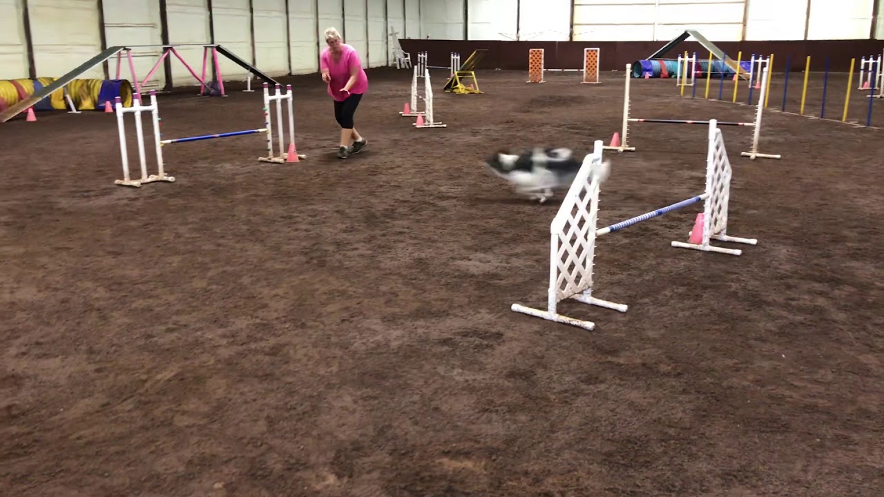 Wave training 6/20/2020 - YouTube