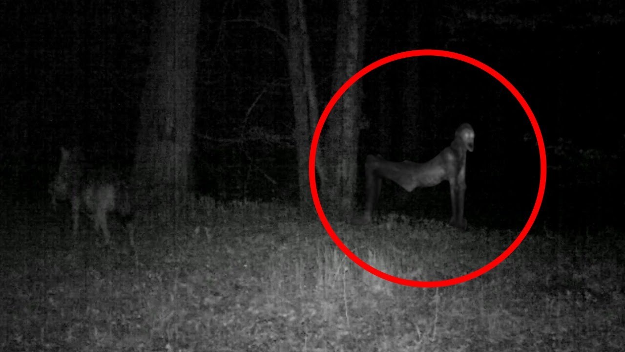 Scary Trail Cam Captures Disturbing Footage Youtube