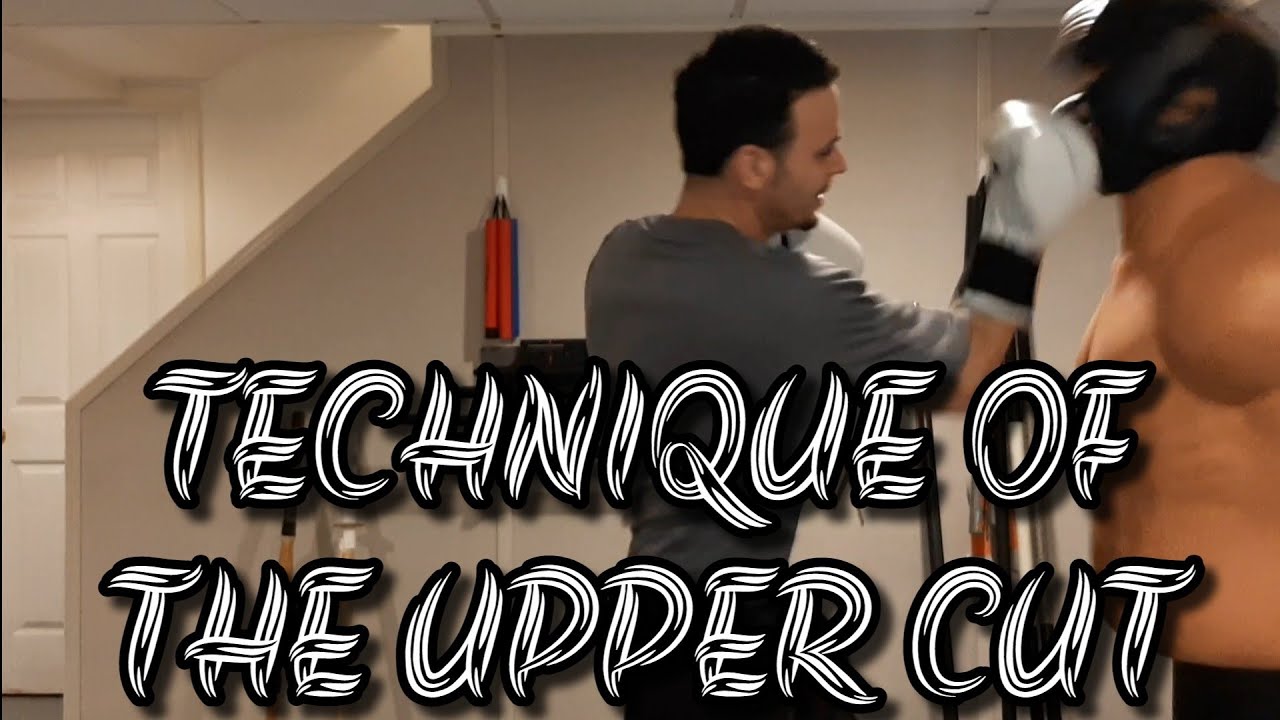 TECHNIQUE OF THE UPPER CUT - YouTube