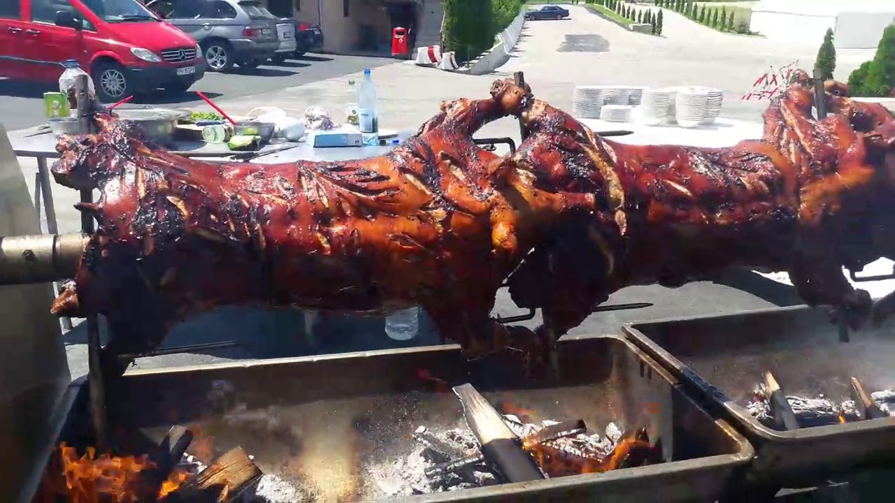 Animale la Protap - Sandu Ganea - YouTube