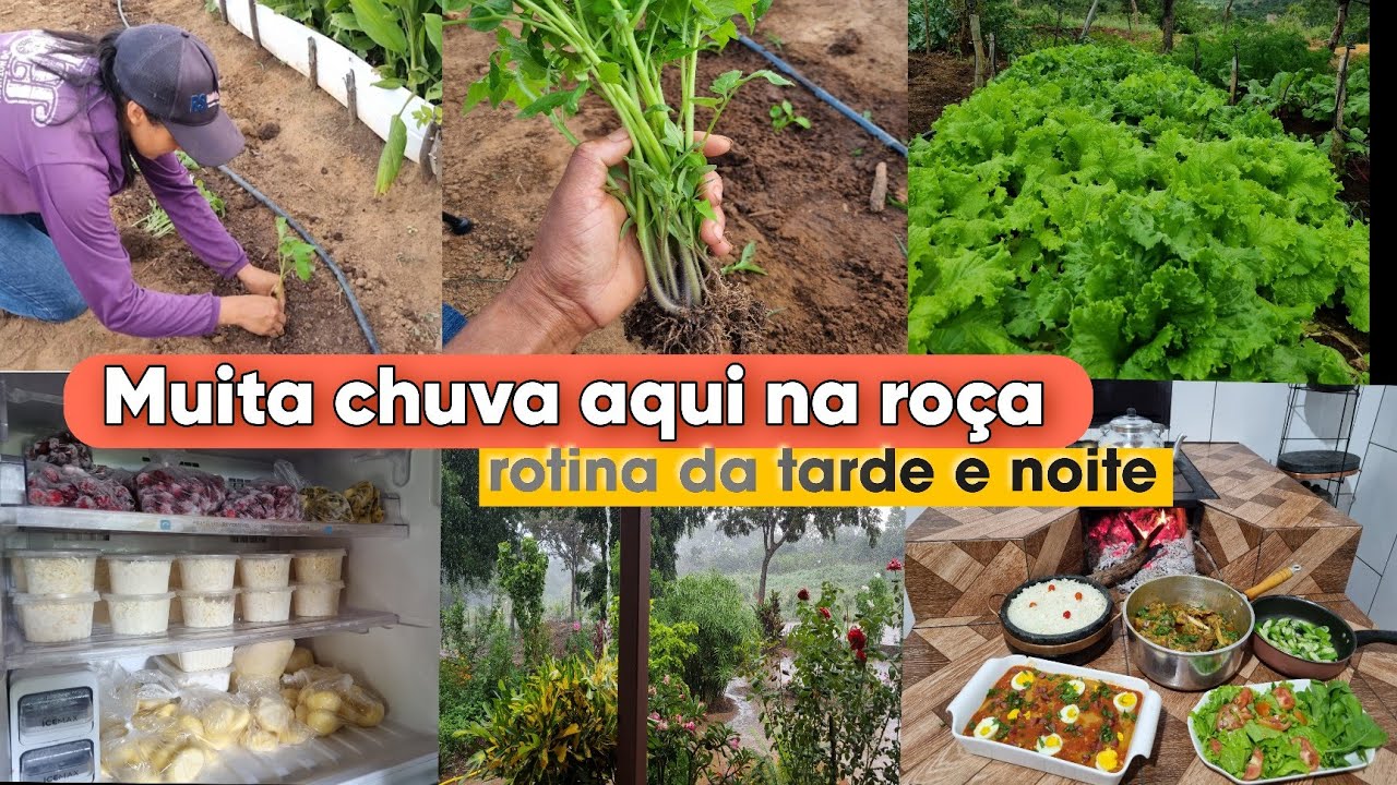 Há muitos anos não chovia assim🙌janta no fogão de lenha|comida mineira ...