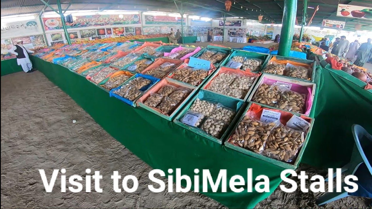 Sibi Mela stalls visit | Sibi Cultural Mela | sibimela - YouTube