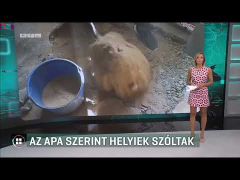 hírek 2024 08 01   RTL KLUB