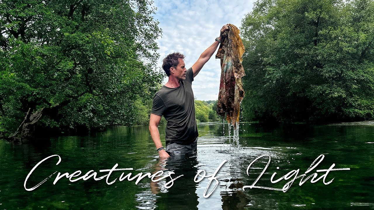 Creatures of Light - YouTube