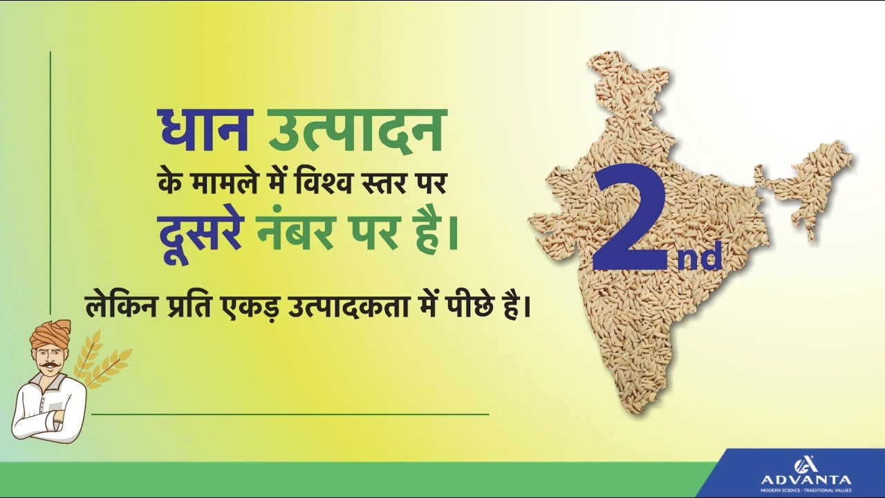 Advanta Hybrid Rice - PAC 807+ (Hindi) - YouTube