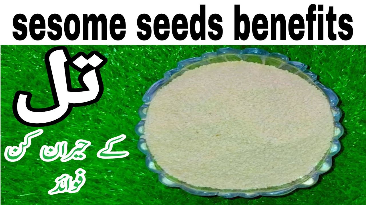 Til khane ke fayde|sesome seeds benefitsتل کے |حیران کن فوائد|तिल के ...