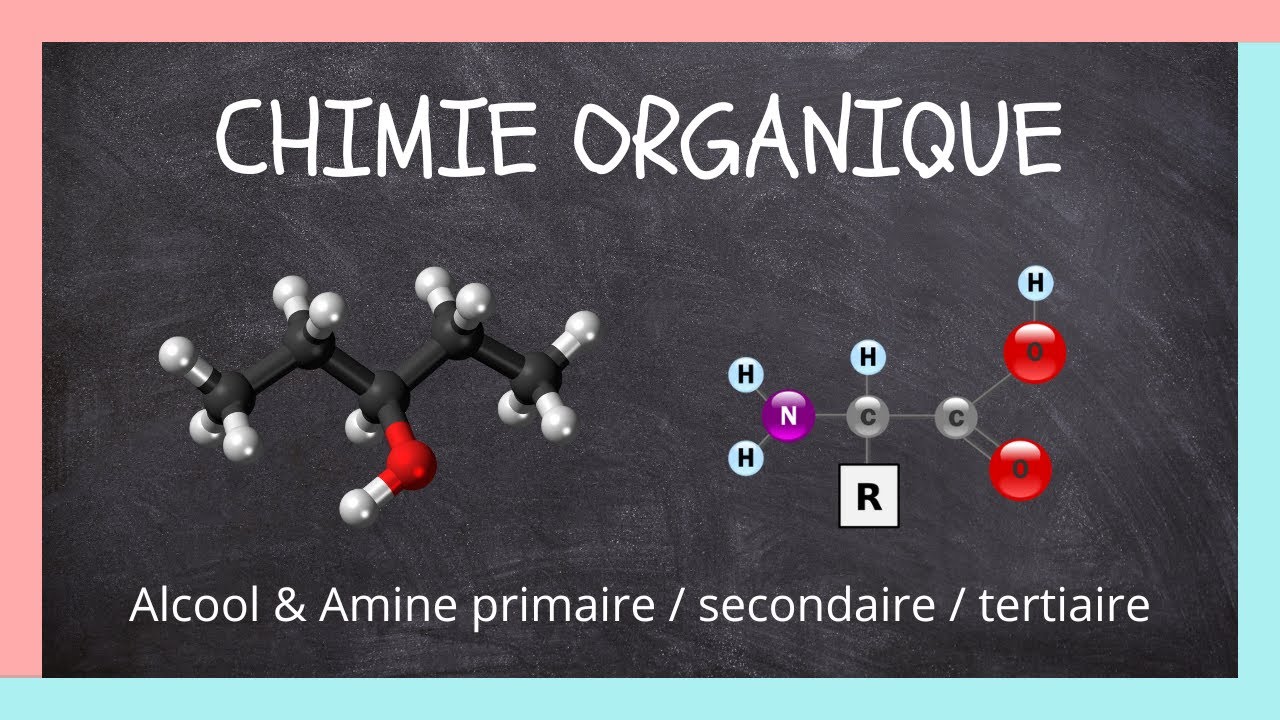 Chimie Organique : Alcool & Amine primaire / secondaire / tertiaire ...