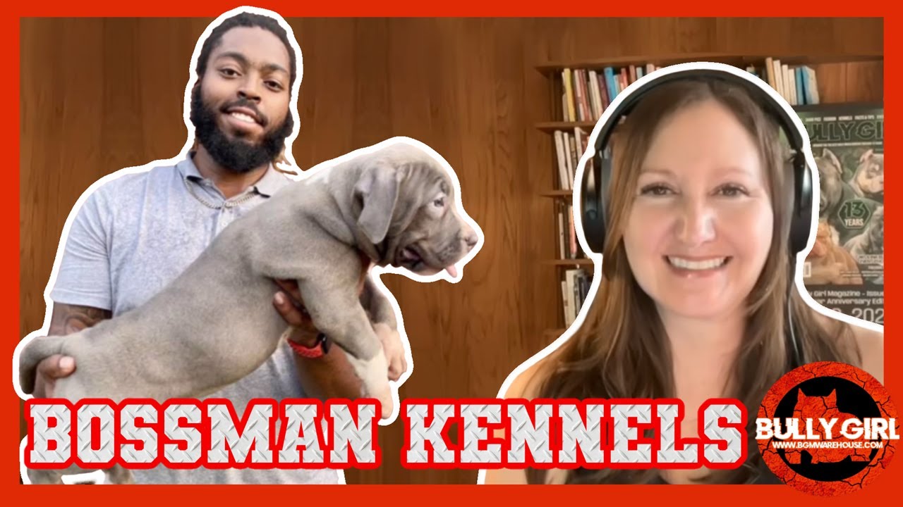 Inside the World of a North Carolina American Bully Breeder | Bossman ...