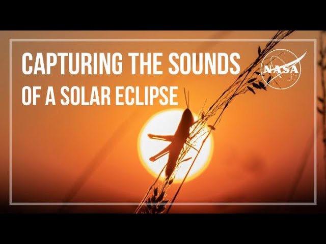 Percepisci l'eclissi solare con il progetto Eclipse Soundscapes della NASA