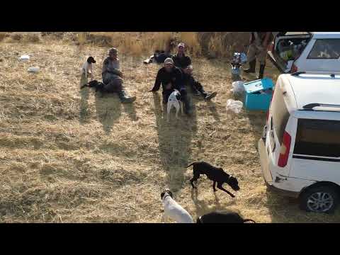 Dronu ormancı sanan avcılar #drone #av #avcılar #ankara 