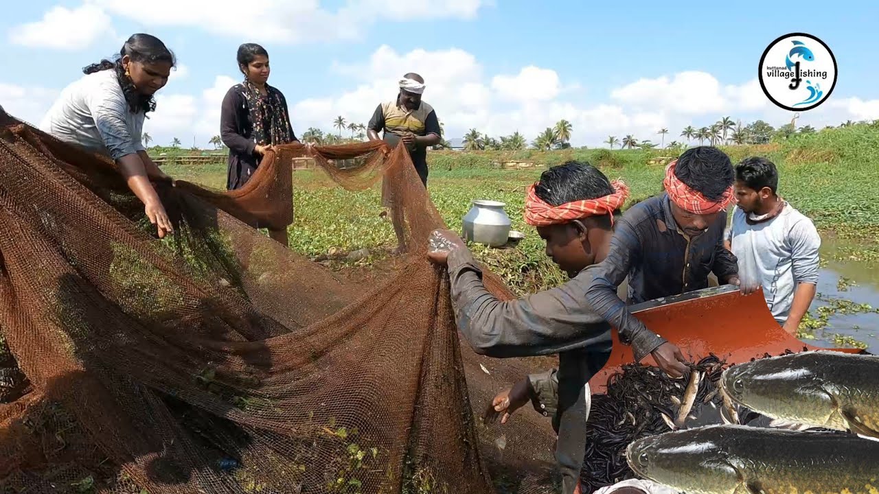 ഈ മടക്കുഴിയിൽ ലക്ഷകണക്കിന് മീനാണെ😱🐟village fishing|traditional fishing ...