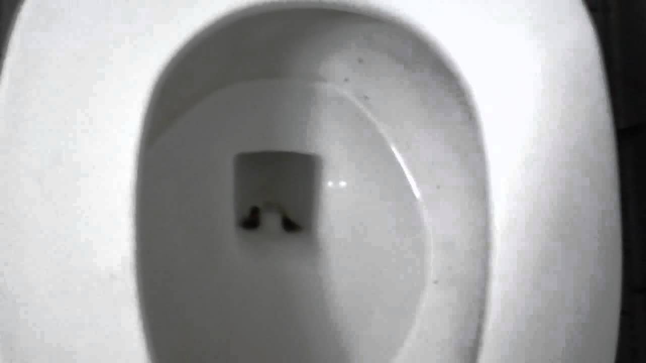 4020: Comfort Height Mid-Late 1990's Eljer Signature Floor Mounted ...