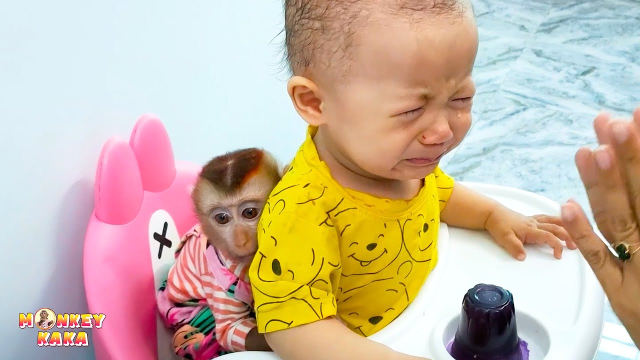 Monkey Kaka hugs and flatters Baby Diem who is lazy to eat - YouTube