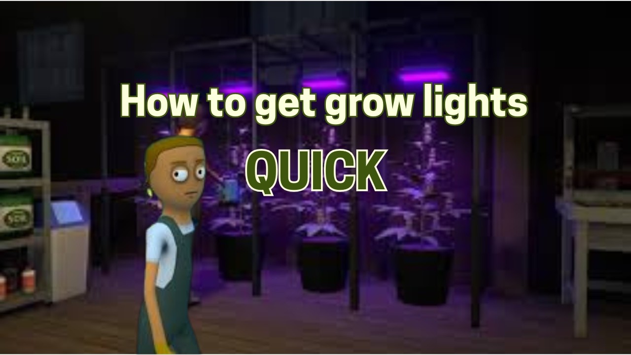 How to get grow lights at the start of Schedule 1 - YouTube