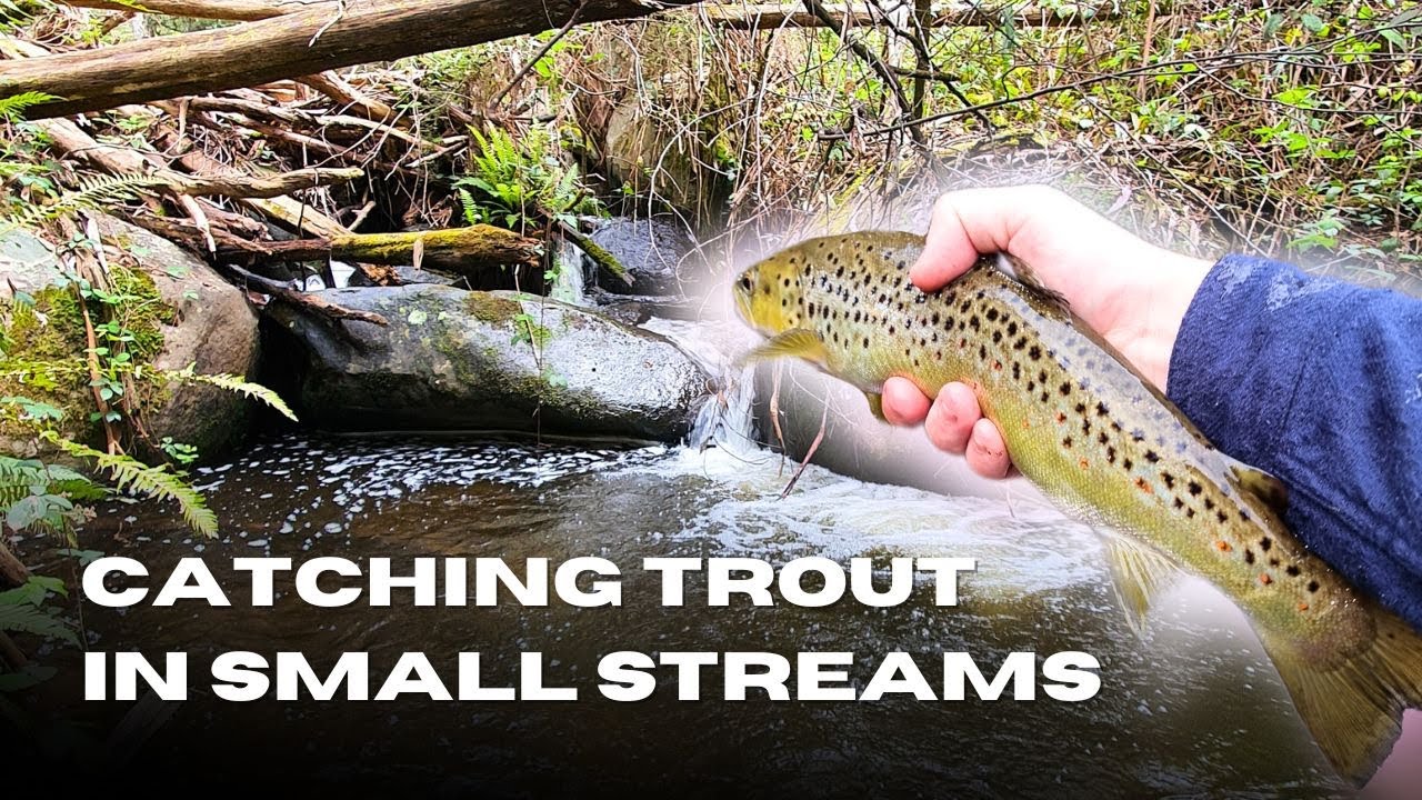 Fishing for Trout in a small Victorian High Country stream! - YouTube
