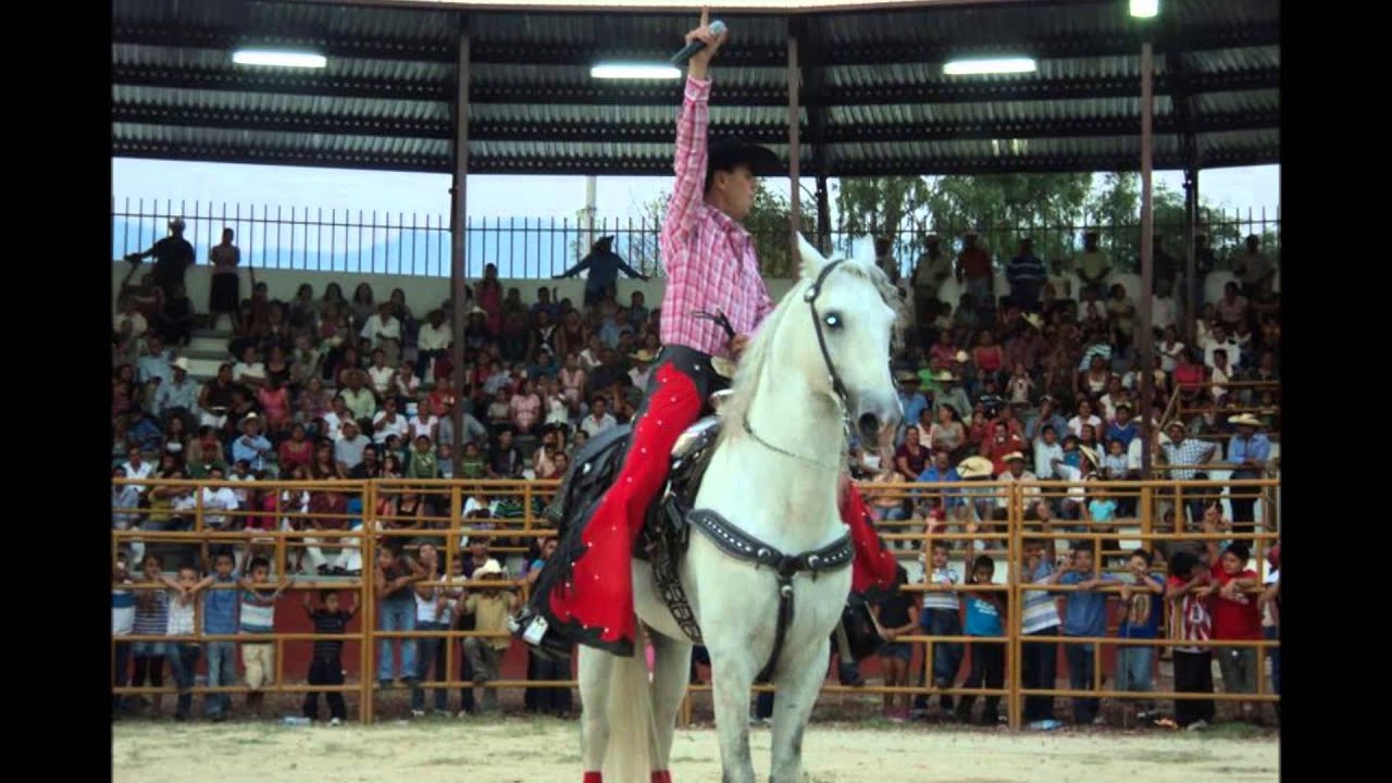 Sebastian Alejandro En Vivo - Juan Colorado - YouTube