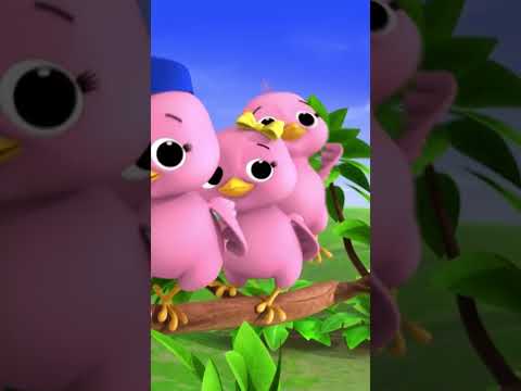 5 Little Birds 🖐️🐦 #LBB #Short #birdsong @LittleBabyBum