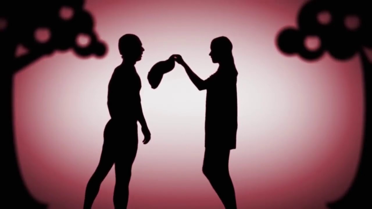 Dia das Mães MAPAL do Brasil - YouTube