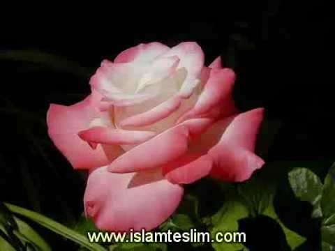Abdurrahman Önül - Can Allah Canan Allah İlahisi - www.islamteslim.com