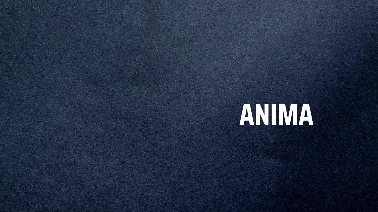 T.K.O - ANIMA - YouTube