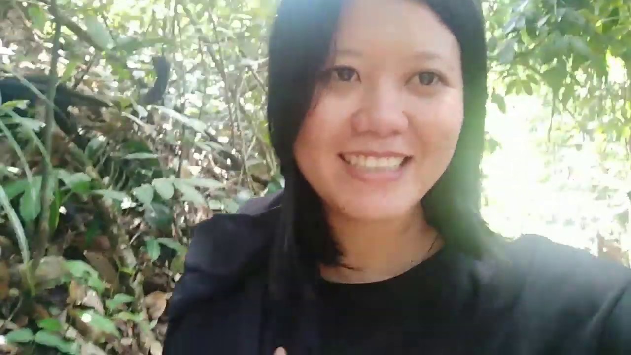 Wisata alam Kalimantan (Riam Angan Tembawang) - YouTube