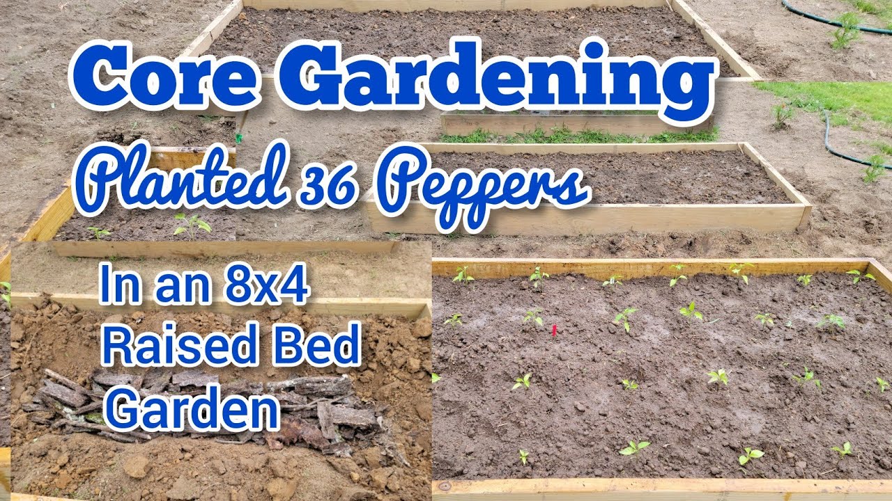 Core Gardening | How To Use Less Water in Your Garden | Planting 36 ...