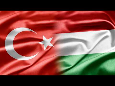 Първи реакции в Турция след изборите в Унгария