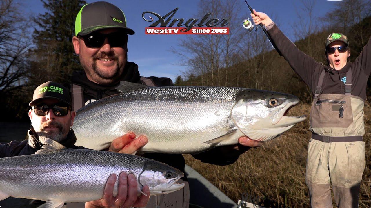 Winter Chrome Steelhead - YouTube