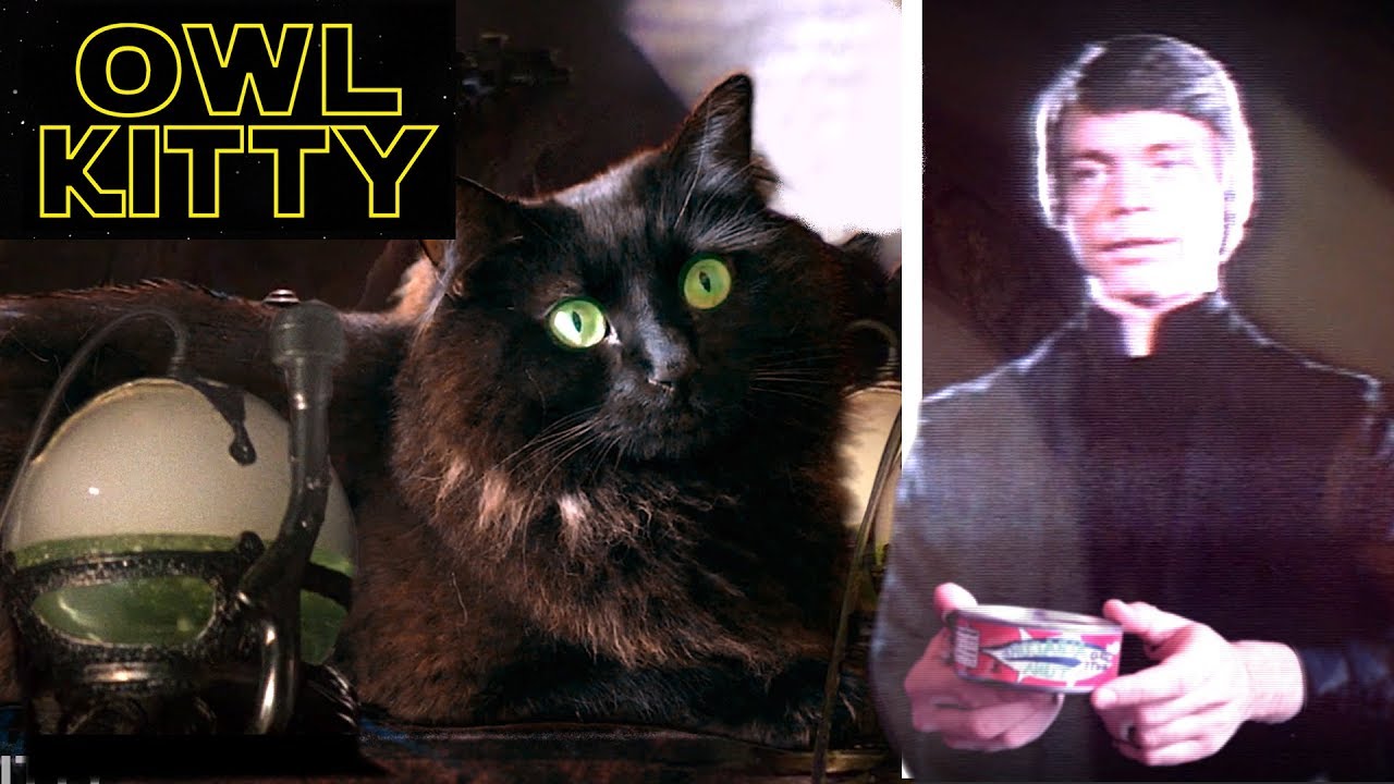 My cat as Jabba the Hutt - YouTube