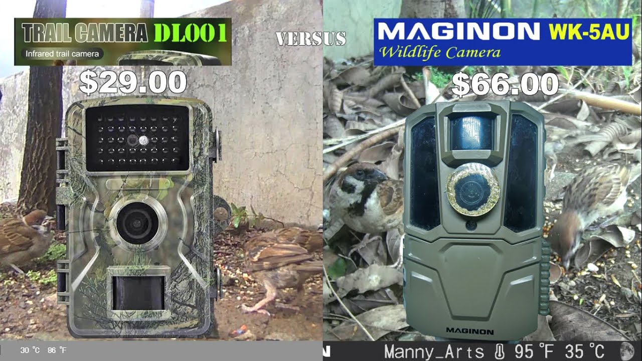 Trail Camera DL001 vs Maginon WK-5AU Wildlife Camera. Video Test, which ...