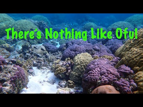American Samoa Snorkeling, Toaga Lagoon, Island of Ofu. Long Version ...