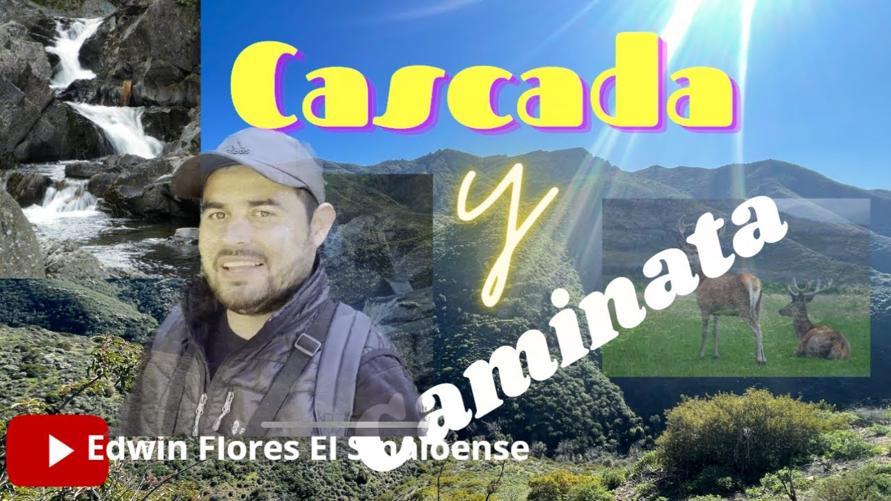 Regresamos a buscar venados y una cascada - Edwin Flores El Sinaloense 👌💯😊 - YouTube