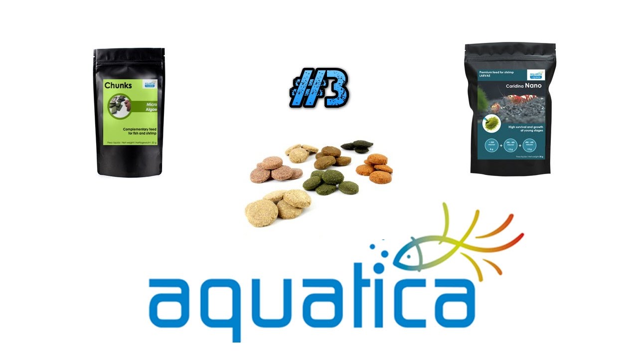 #3 AQUATICA Shrimp Food / Caridina Nano i Chunks z bliska - YouTube