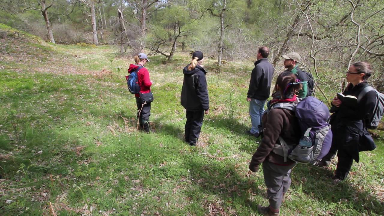 National Vegetation Classification (NVC) Woodlands Course - YouTube