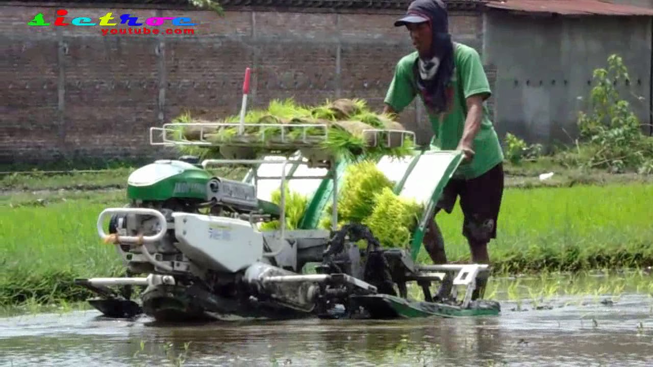Indojarwo Transplanting(mesin tanam padi) - YouTube