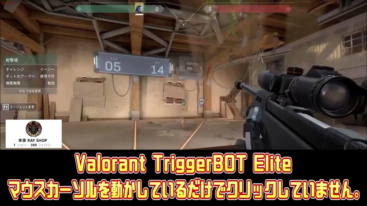 【Valorant】新型TriggerBot トリガーボット elite【ヴァロラント】 - YouTube